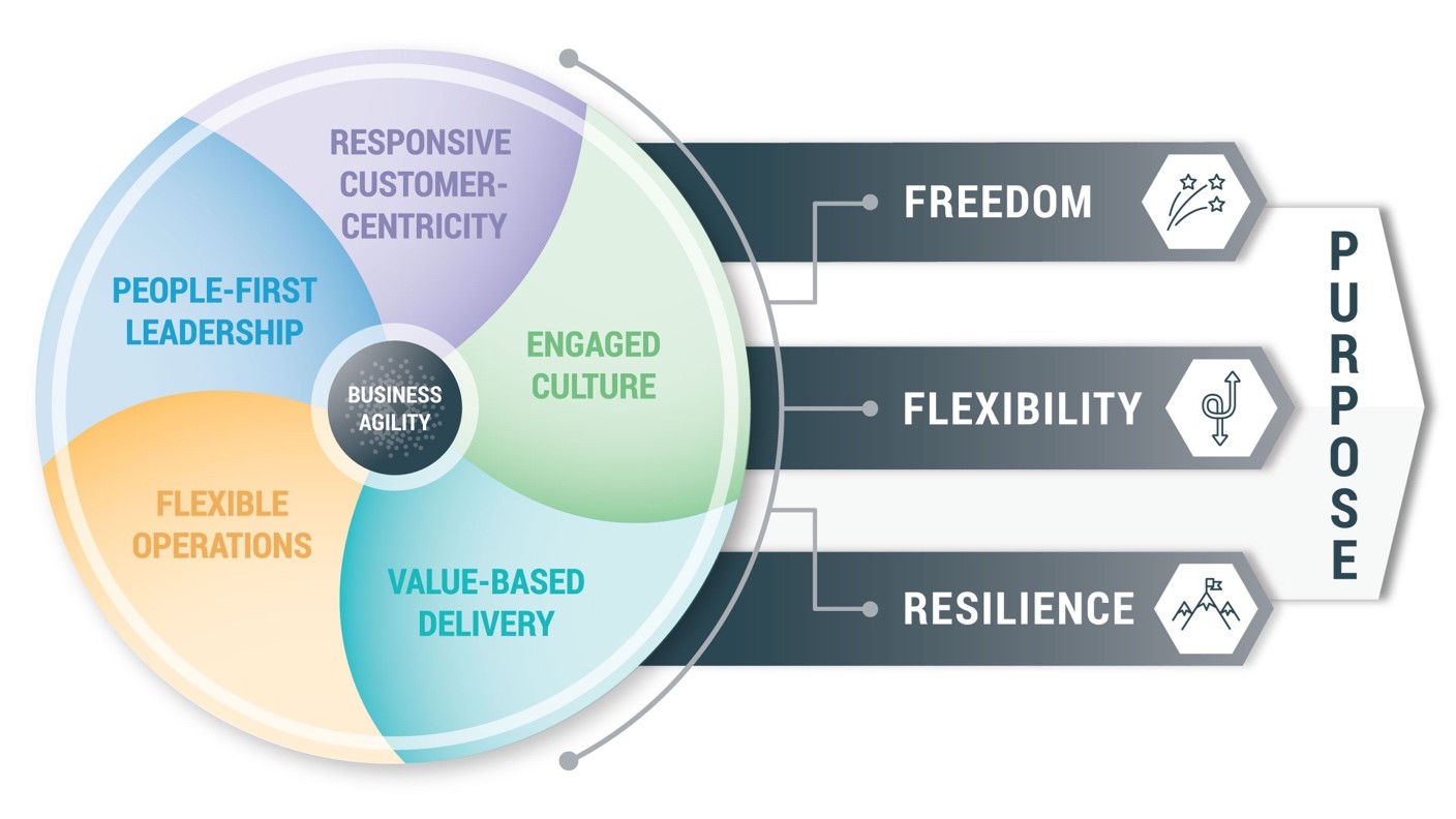 Por Que Sua Empresa Precisa de Business Agility? - SoftDesign